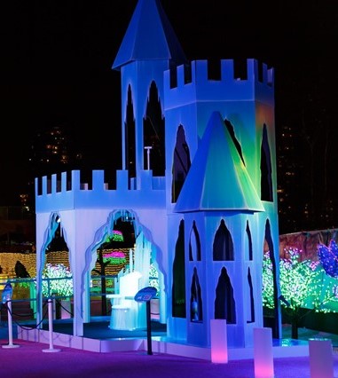 Fairy Tale Castle - Winter Festival of Lights