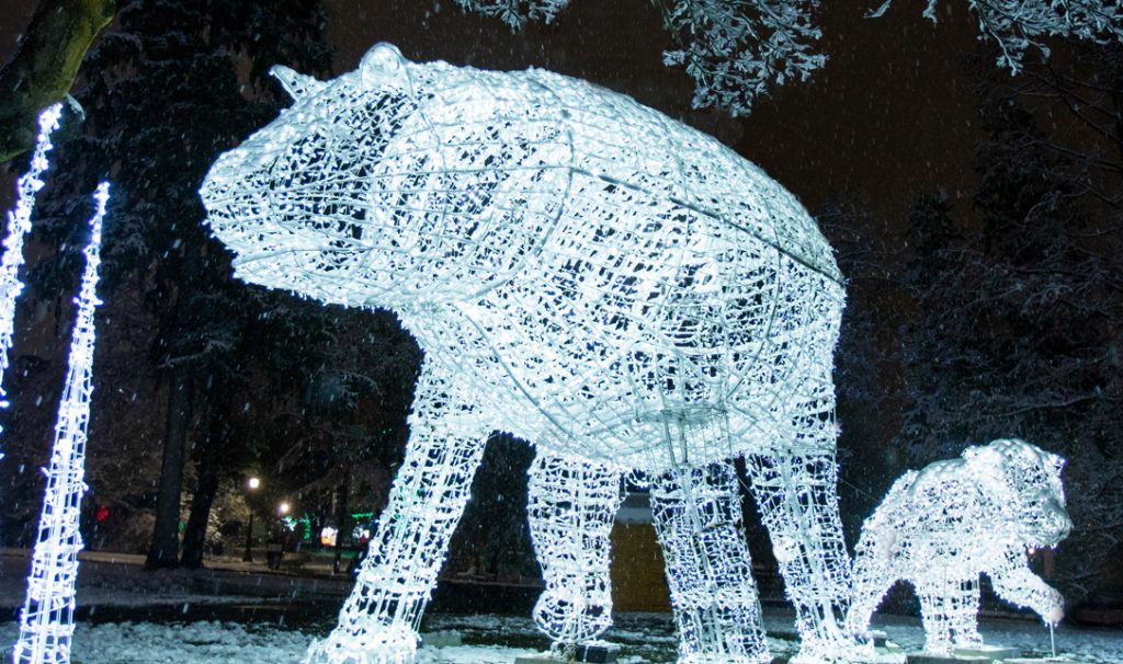 Lighting Displays - Winter Festival of Lights