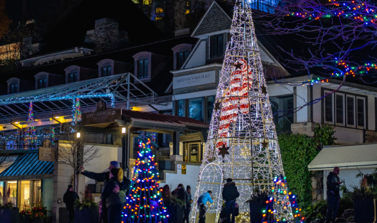 Lighting Displays - Winter Festival of Lights