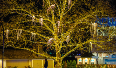 Lighting Displays - Winter Festival of Lights