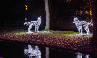 Lighting Displays - Winter Festival of Lights